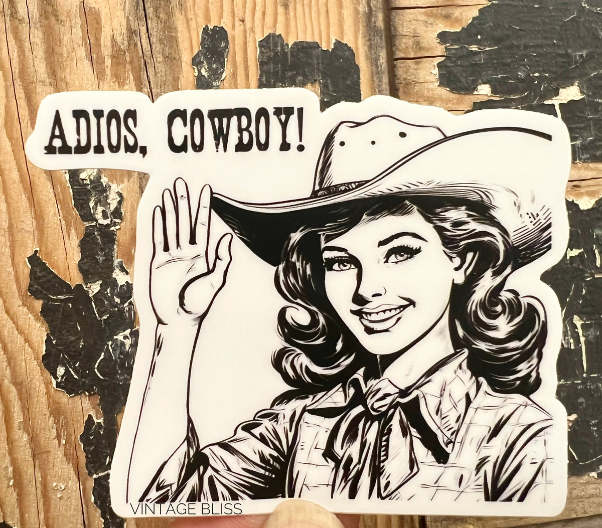 Adios, Cowboy Sticker – Vintage Bliss AZ